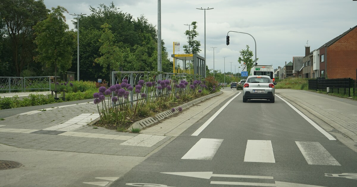 Hinder op N70 door werken aan ovonde Sint-Elisabethstraat | Beveren | HLN.be