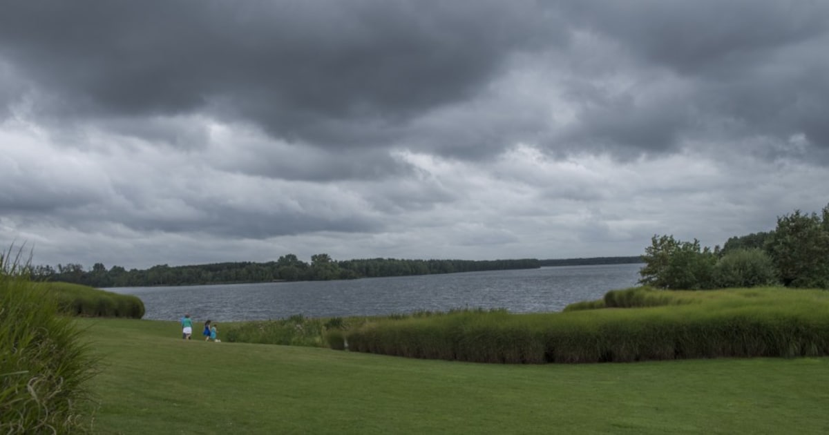 Natuurbeheerplan voor Put van Rauw en Jeugdkamp De Maat: inwoners ...