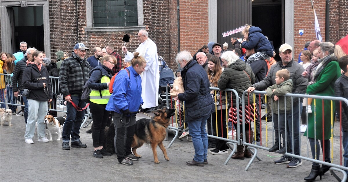 Viervoeters laten zich zegenen op Sint-Hubertusviering | Niel | HLN.be