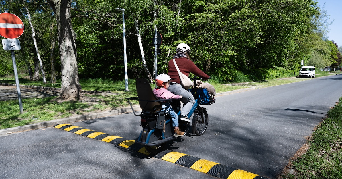 Verkeersremmers Nieuwe Dreef in Hemiksem worden verwijderd | Regio | HLN.be