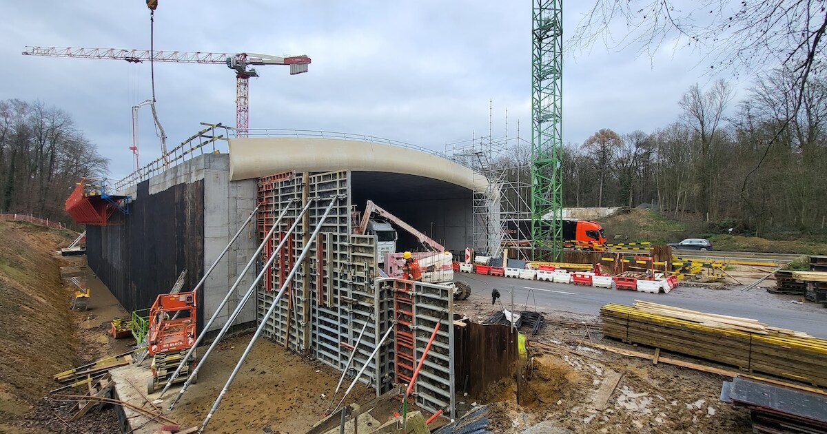 Nieuwe mijlpalen bereikt bij aanleg brug Drasop en ecoduct Hallerbos ...