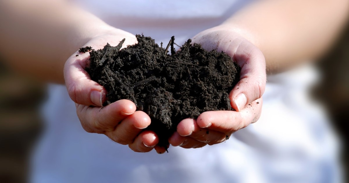 Compostactie bij Ecowerf | Zoutleeuw | HLN.be