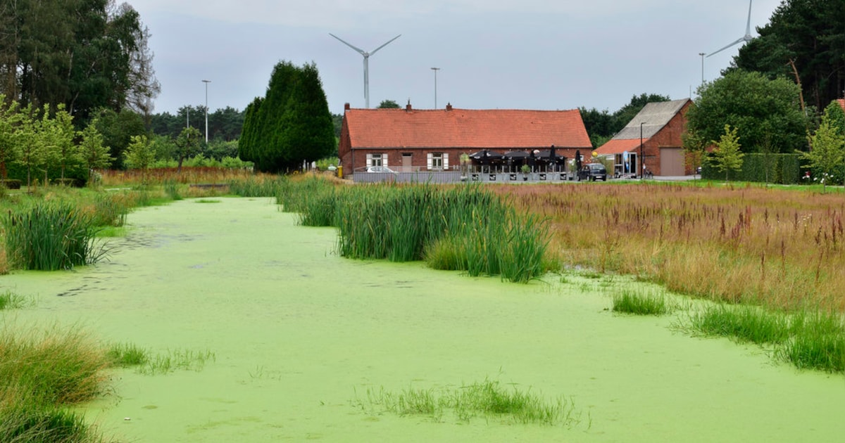 Gemeente voert onderhoudswerken uit aan regenwaterbekken op Ven | Olen ...