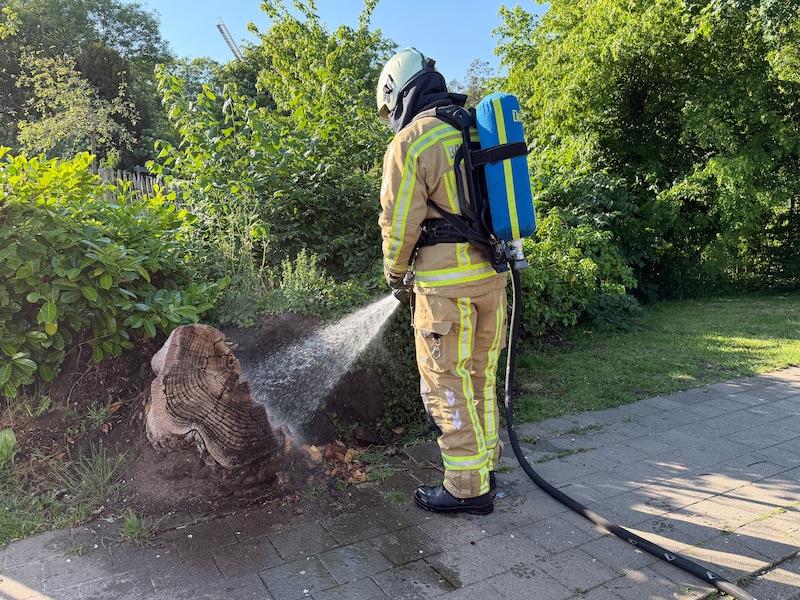 Brandweer blust brand aan boomstronk in Assebroek: “Opgemerkt door ...