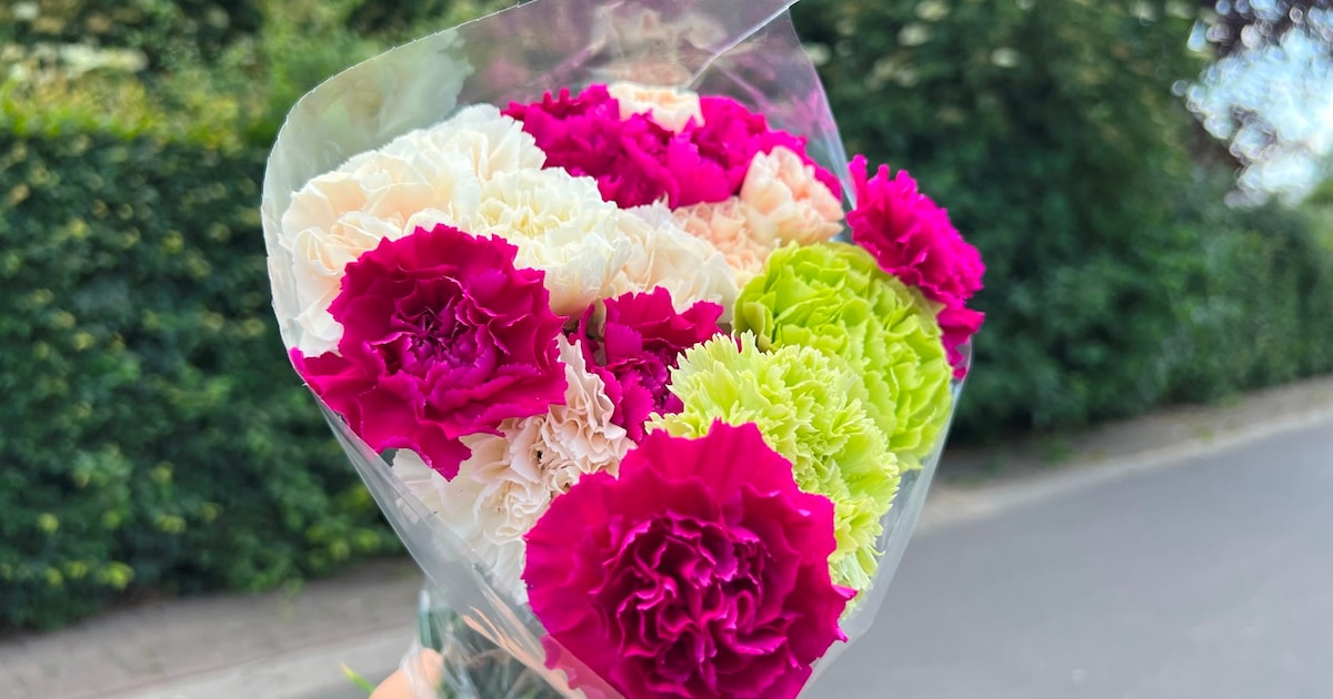 Wie zoekt die vindt: Anjers De Nijs verstopt zondag gratis boeketten ...