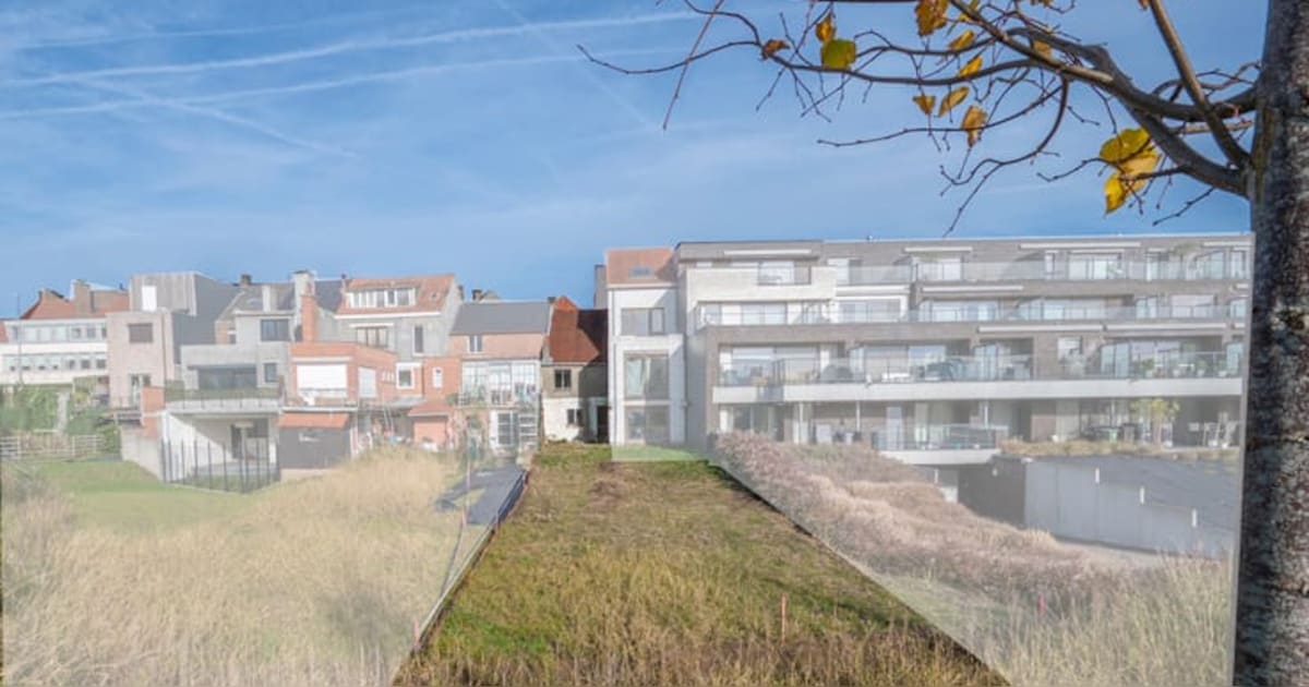 Deze 11 woningen zijn nu te koop in Temse | Temse | HLN.be