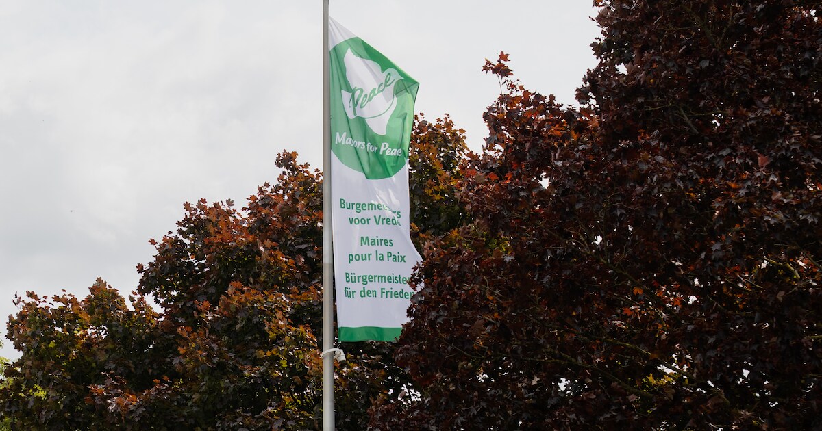 Wichelen hijst vlag voor vrede aan Sociaal Huis | Wichelen | HLN.be