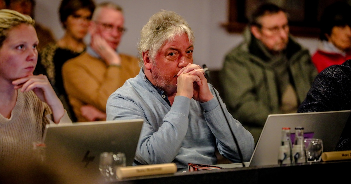 “Zwaluwnesten moeten we opnieuw subsidiëren”: raadslid Marc Deprez ...