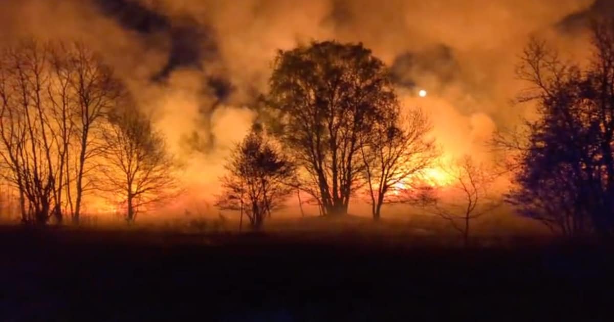 Grote natuurbrand op Mechelse Heide in Maasmechelen onder controle ...