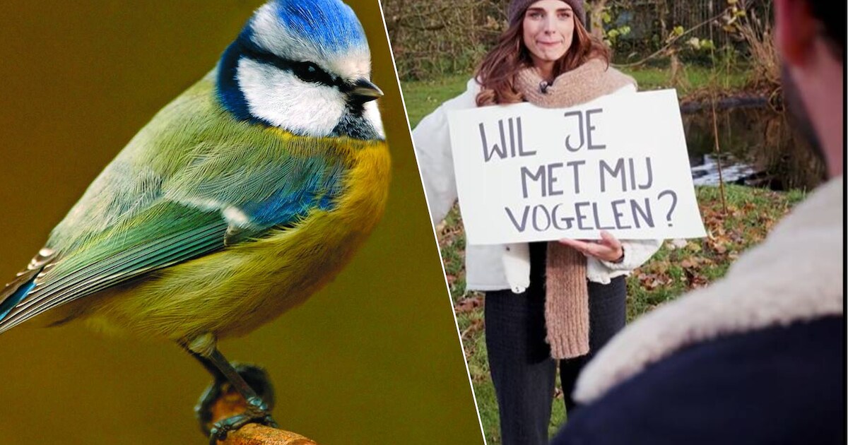 Wat te doen in Leuven en Hageland dit weekend? Van open mic comedy in ...