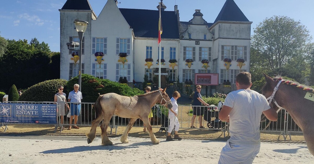 Vijfdaags feestweekend tijdens Wemmel Jaarmarkt | Uit-tips Wemmel | HLN.be