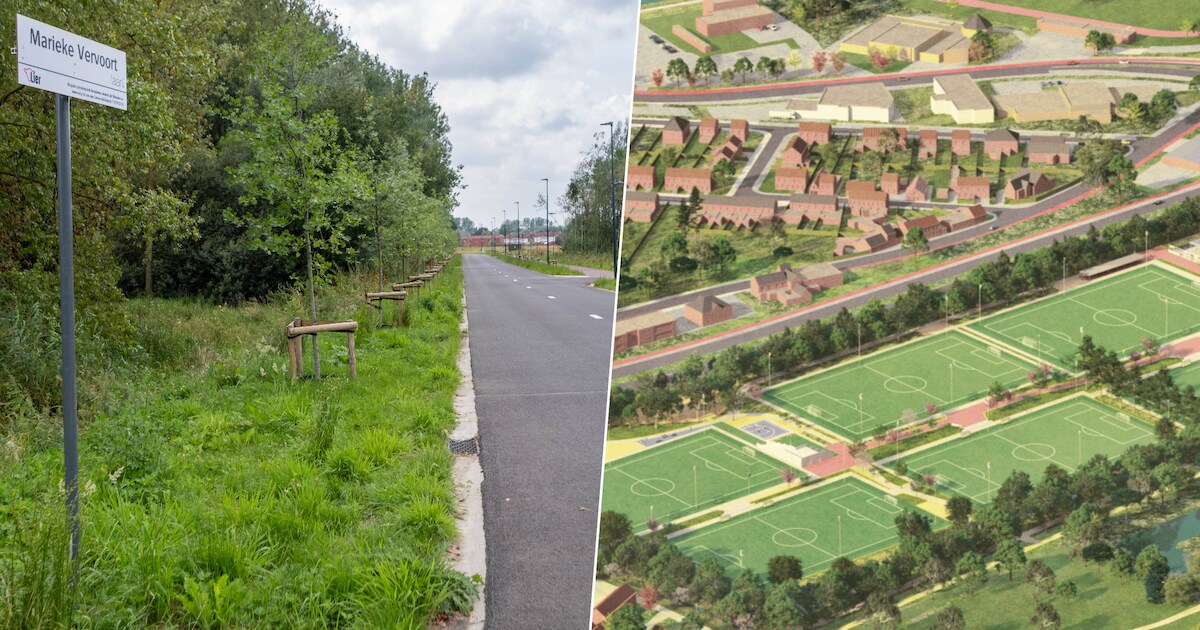 Bouw Sportpark Lier gaat 19 augustus van start: “Een nieuwe thuishaven ...