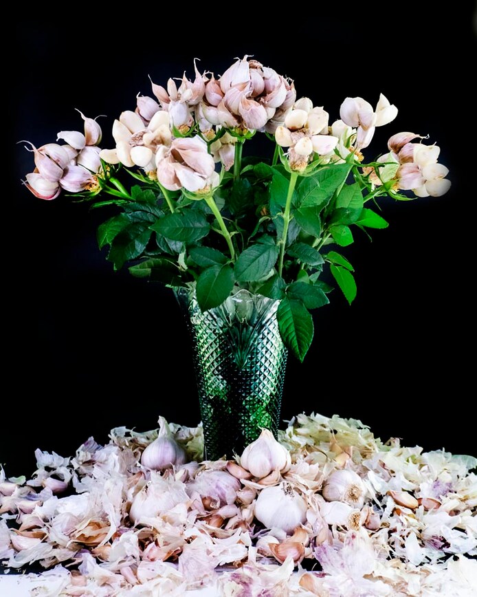 Rozen die ruiken naar knoflook: Hasseltse geurkunstenaar Peter de ...