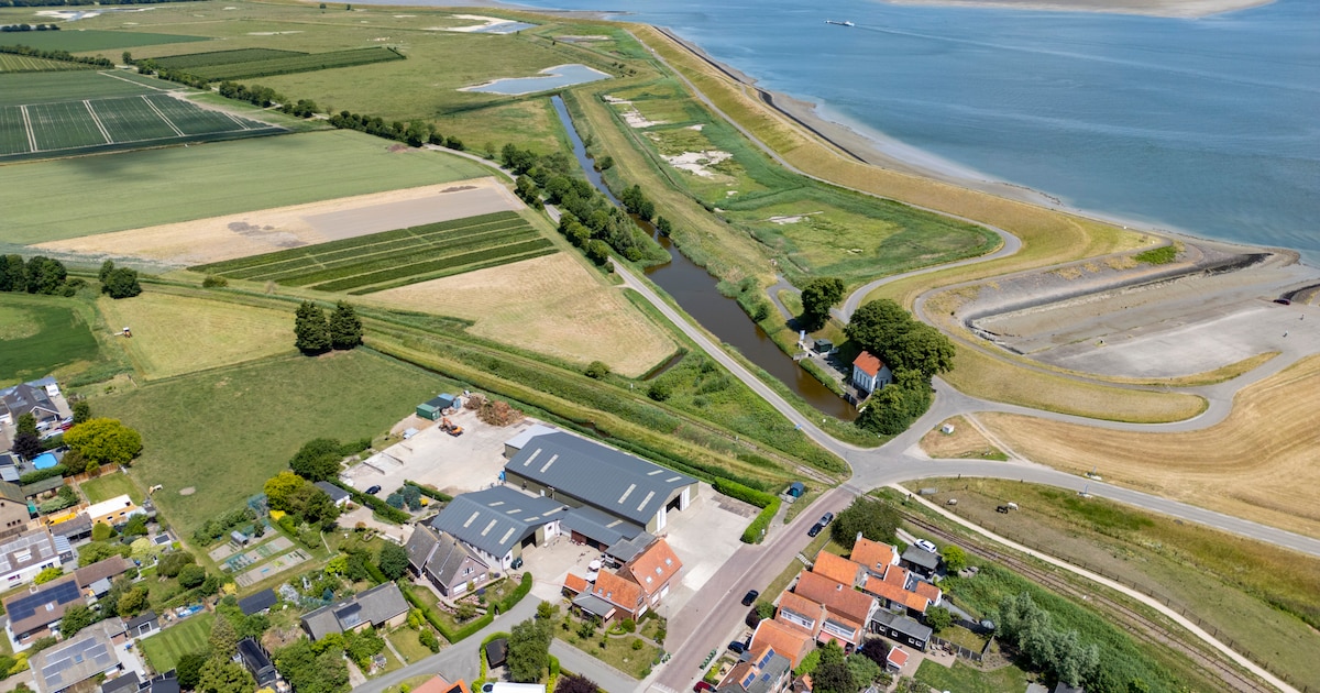 Gaten in de dijk kunnen Zeeland veilig houden: ‘Doe nu een proef bij ...