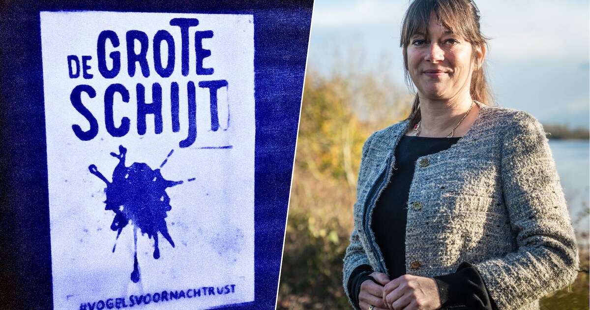 Gedeputeerde Mireille Colson (N-VA) over ‘De Grote Schijt’-stickers in ...