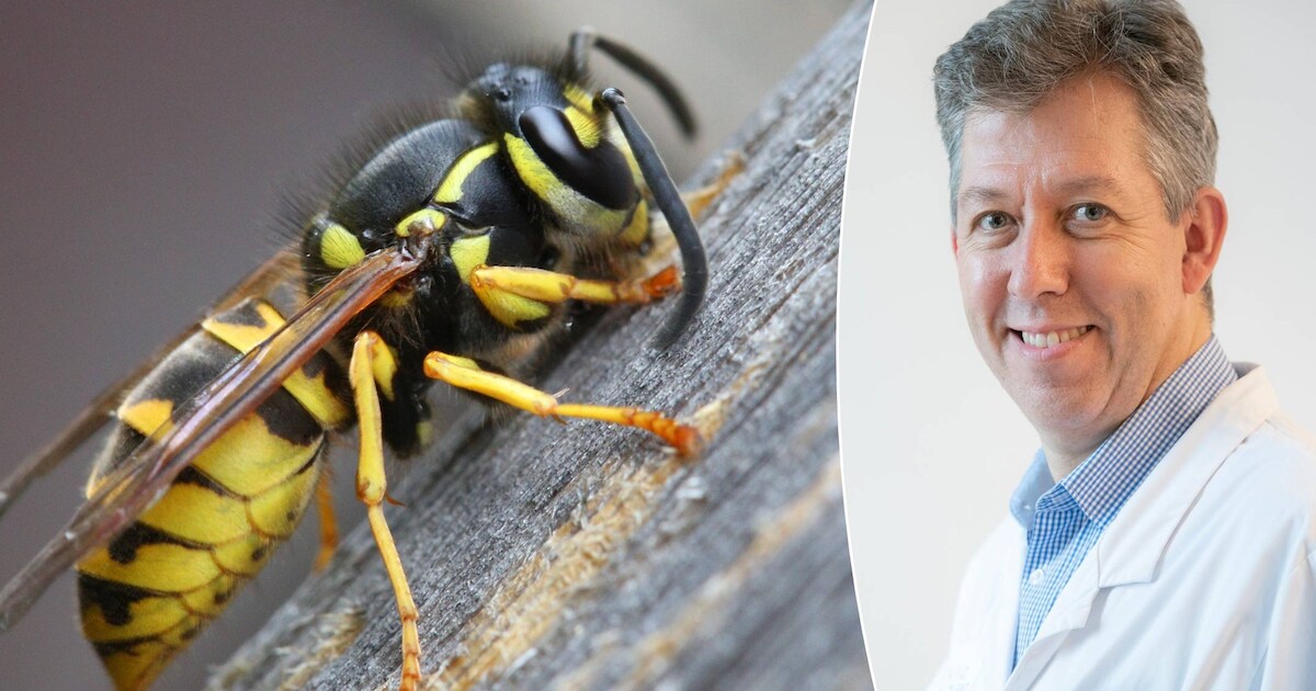 “Je preventief testen heeft geen zin”: medewerker ‘Vive le vélo’ krijgt ...