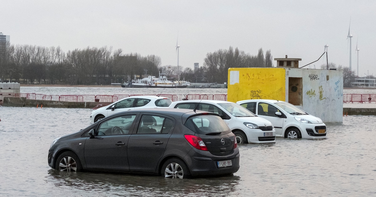 Stad Antwerpen wapent zich tegen storm Benjamin: waterkeringspoorten en ...