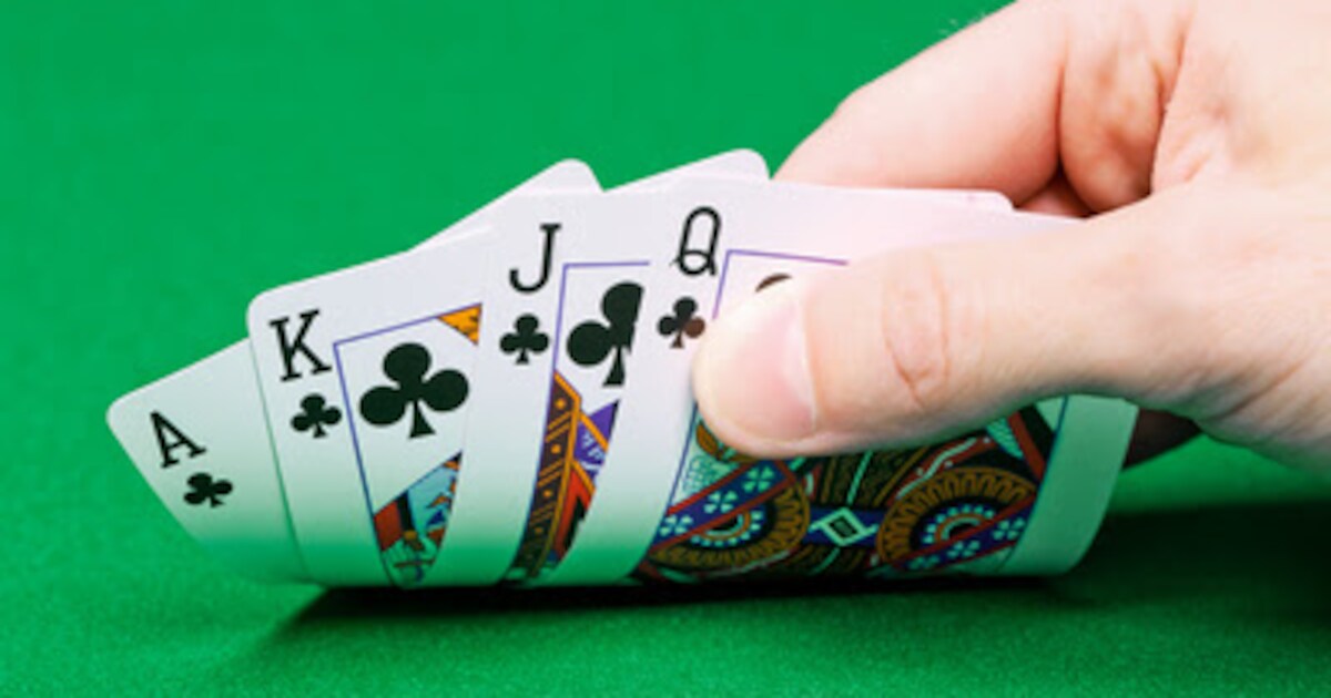 Vief Brugge leert je bridge spelen | Brugge | HLN.be