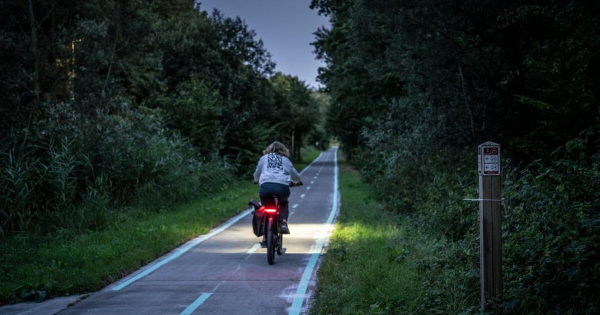 Reflecterende markeringen op fietspad in Weimanstraat: “Verlichting was ...