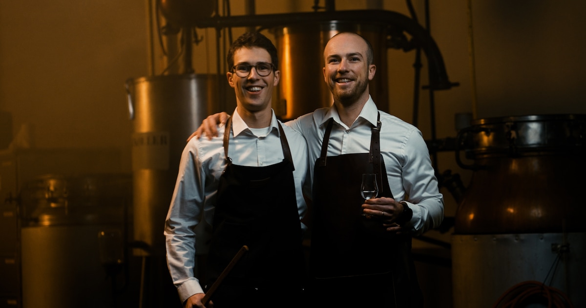 Gents ginmerk Ghentist viert vijfjarig bestaan: rooftop afterwork met ...