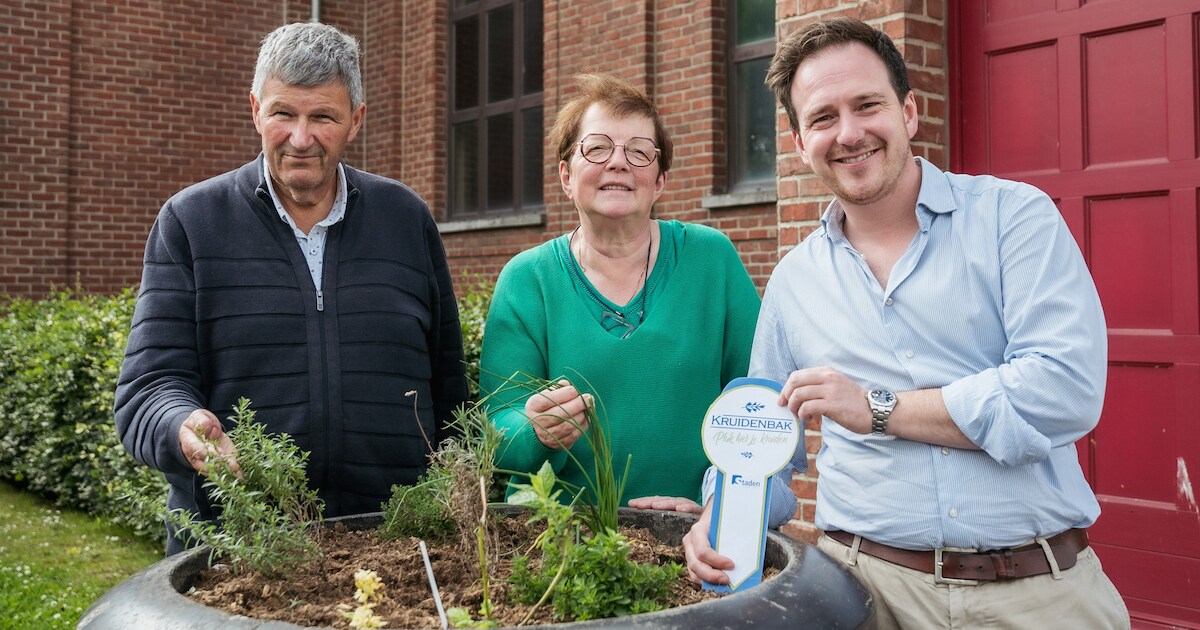 Voortaan zes kleine openbare kruidentuintjes in Staden | Staden | HLN.be