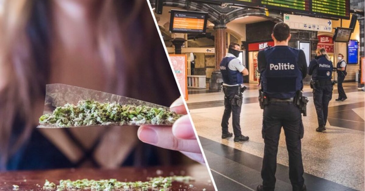Politie betrapt moeder van drie (47) met 50 gram cannabis op zak | Gent ...
