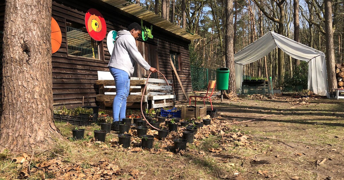 De Leerexpert Peerdsbos kweekt planten met opgevangen regenwater ...