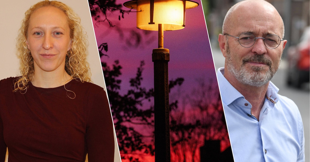 Stad Izegem bereid om straatverlichting aan te passen: “We gaan zelfs wandelingen organiseren om ...