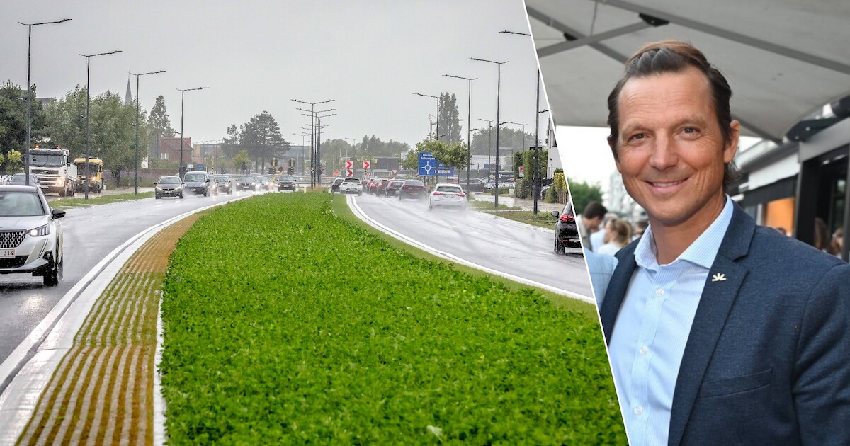 Raadslid Antoine Geerinckx pleit voor extra groen langs Natiënlaan ...