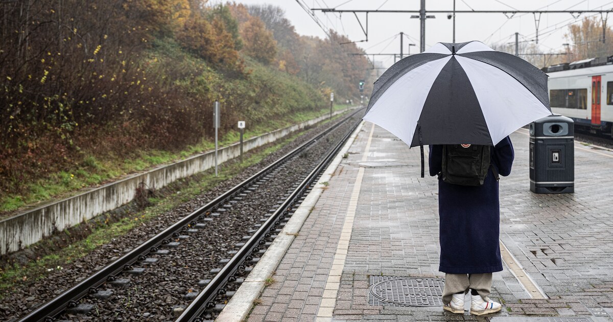 WEERBERICHT. De dag begint droog, gevolgd door wat lichte regen of een bui | Weer & Wetenschap ...