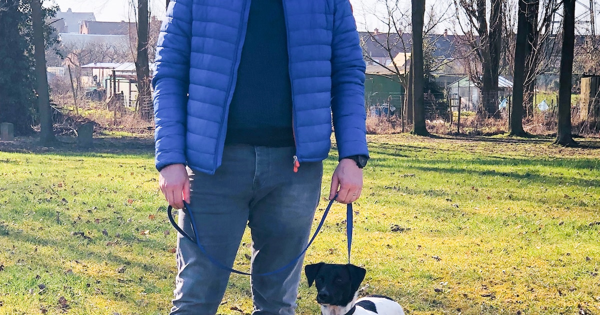 “Meer aandacht voor dierenwelzijn nodig”: Open Vld wil ...