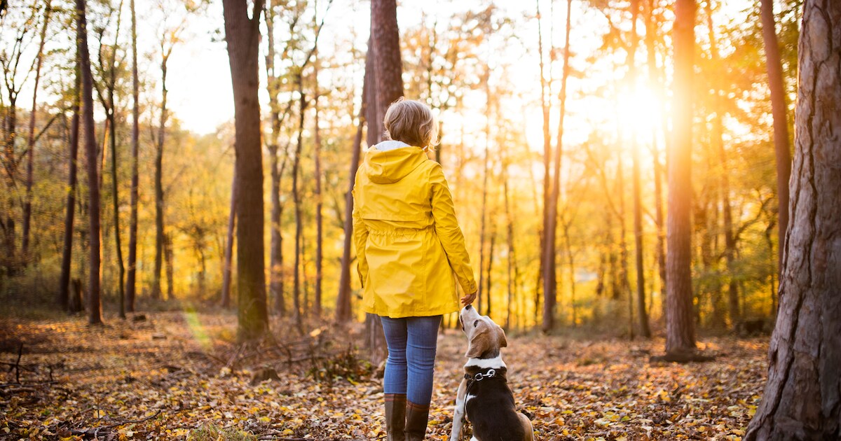 KMI waarschuwt voor CO-intoxicatie | Weernieuws | HLN.be