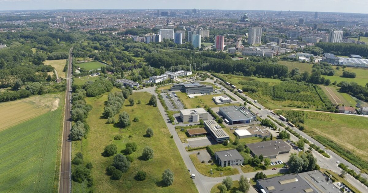 Wielertoerist omgekomen bij verkeersongeval in Zellik | Binnenland | hln.be