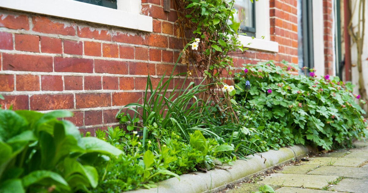 Inwoners kunnen voortuin laten verfraaien | Zoutleeuw | HLN.be