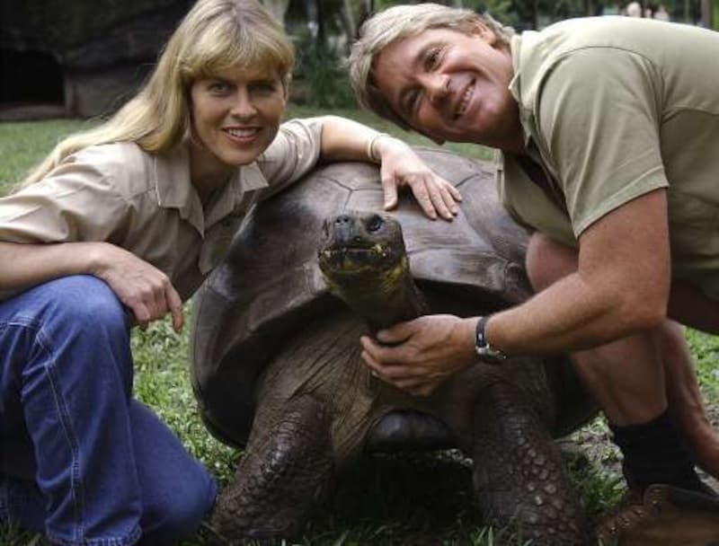 Het tragische leven van Steve Irwin (deel 2): hoe een pijnlijke ...