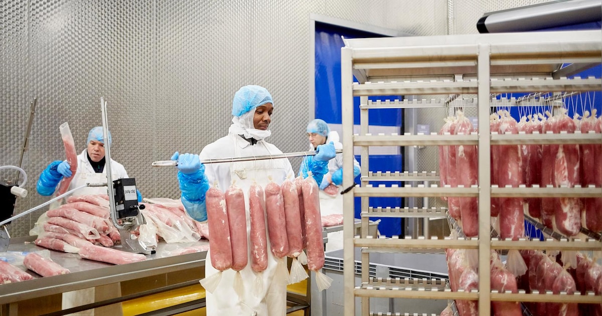 Colruyt opent grootste vleesverwerker in België | Regio | HLN.be