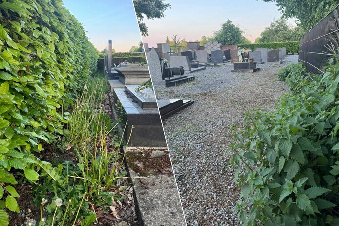 “Samen zorgen we voor eerbied en rust”: Politie en stadsbestuur beloven ...