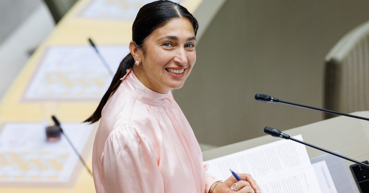 Minister Demir is “getalm” beu en trekt loonsverhoging poetshulpen naar ...
