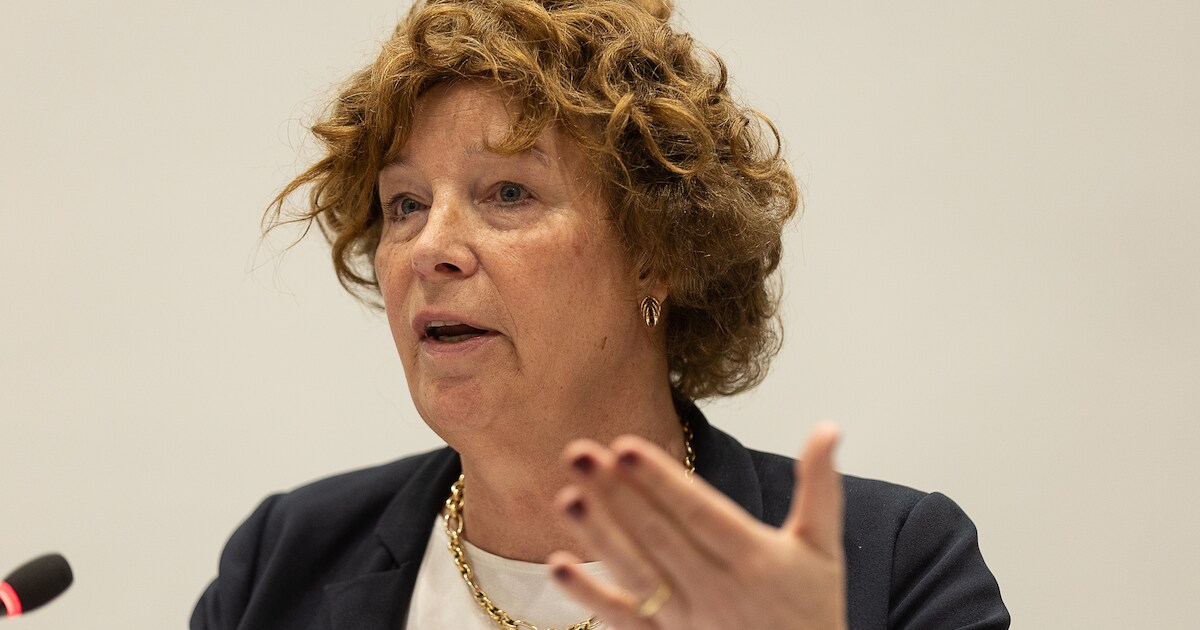 De Sutter: “Enige deur die opengezet moet worden is die richting natuur ...