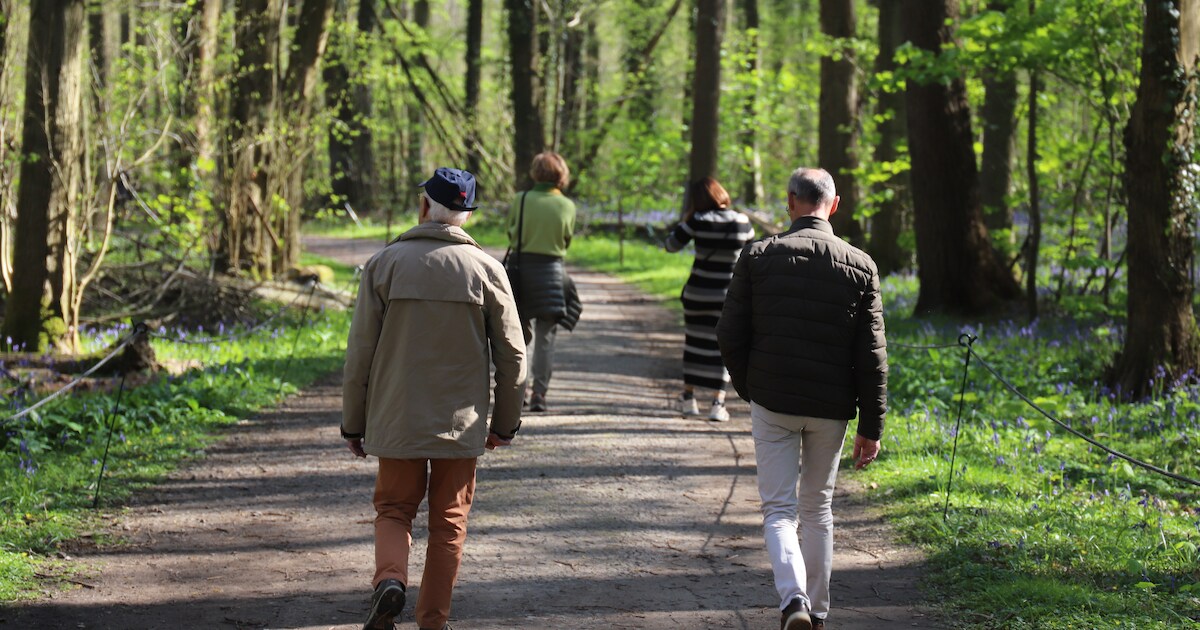 Kalmthout organiseert wandeltocht door Buisse Heide en Moerse bossen ...