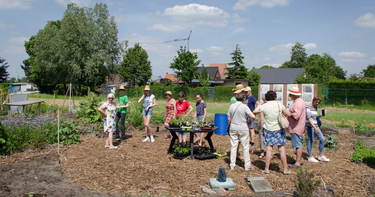 Ontdek lokale tuinen tijdens Velt-ecotuindagen | Lokeren | HLN.be