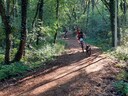 Als ook de hond zot is van sporten. 350 baasjes laten zich voorttrekken ...