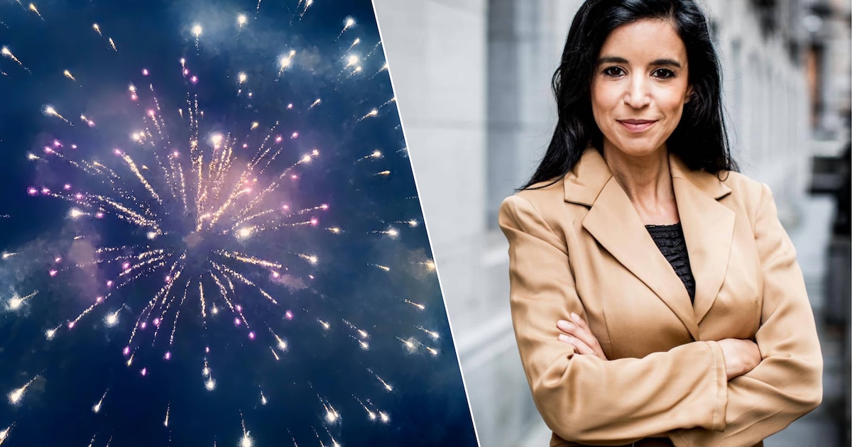 Londerzeel hanteert K-L-M-regels omtrent eindejaarsvuurwerk, maar ...