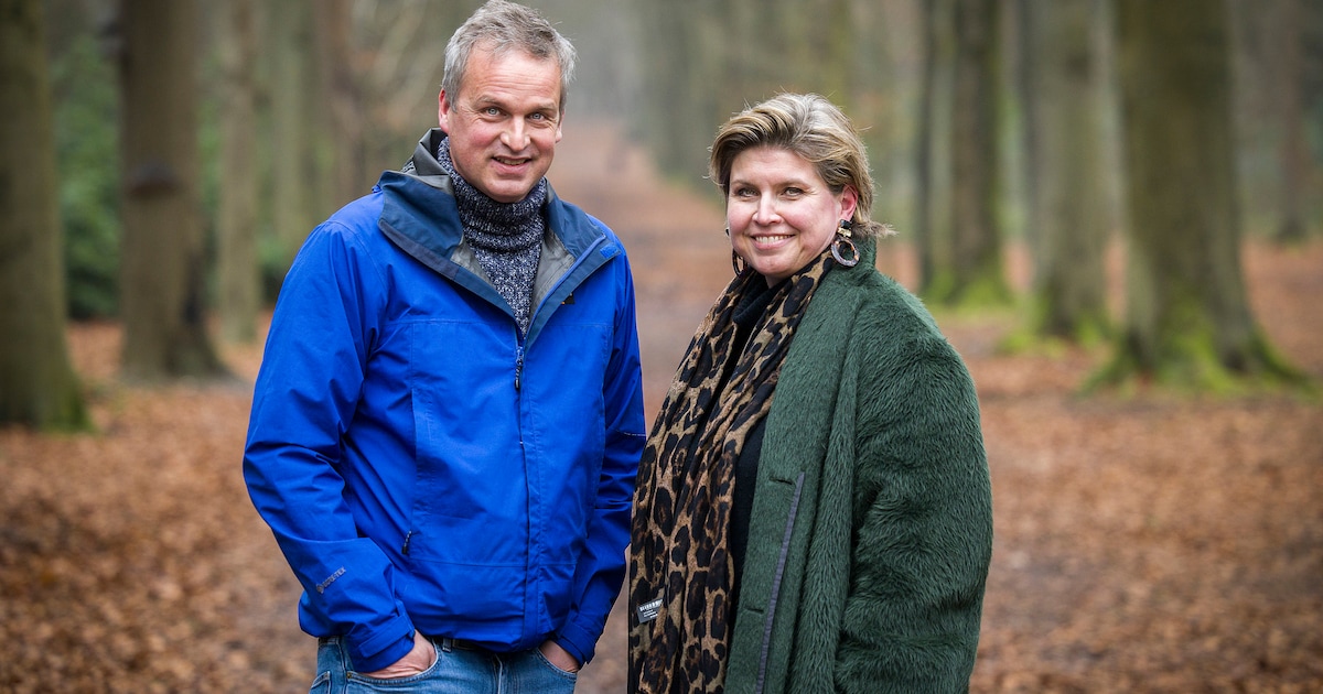 Nederlandse columniste vond Arnout Hauben al ‘de leukste Belg op tv’ en ...