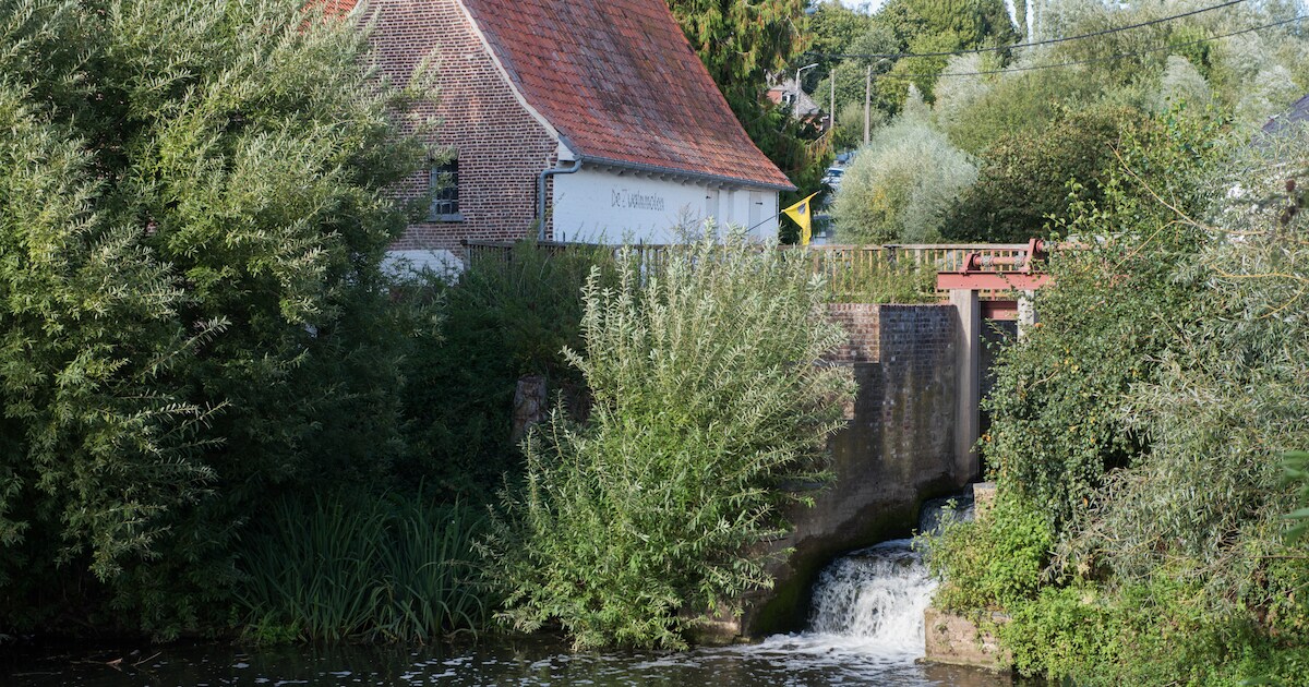 Bezoek de Zwalmmolen op Open Molendag | Zwalm | HLN.be