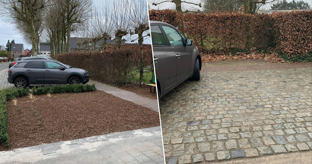 Twee parkeerplaatsen aan basisschool Scharrel onthard | Hoogstraten ...
