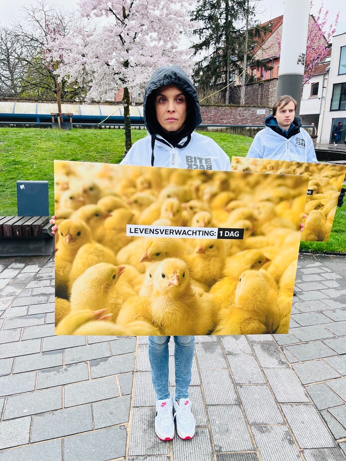 Bite Back voert actie in Hasselt tegen vergassen van eendagskuikens ...