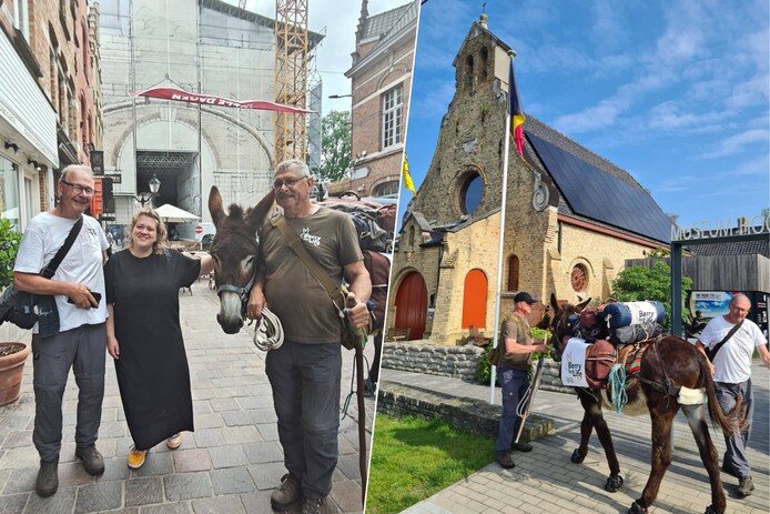 Met ezel Berry op doortocht in de Kattenstad: “Een koppig, maar heel ...