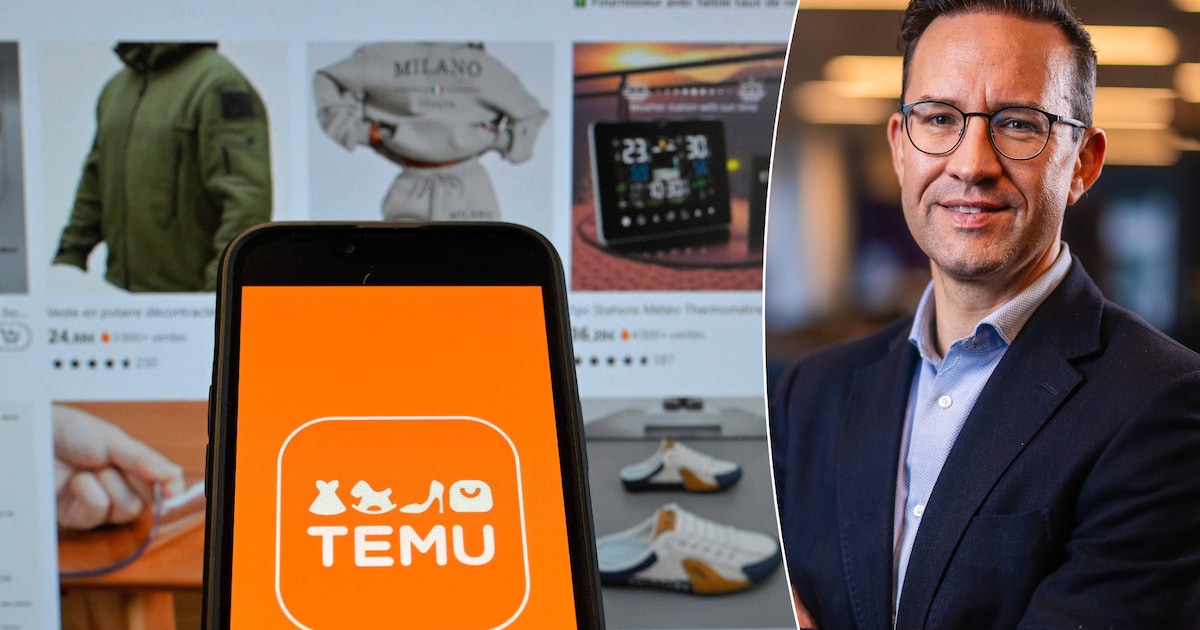 “Dit holt onze economie uit”: Belg geeft meer uit online, maar winst ...