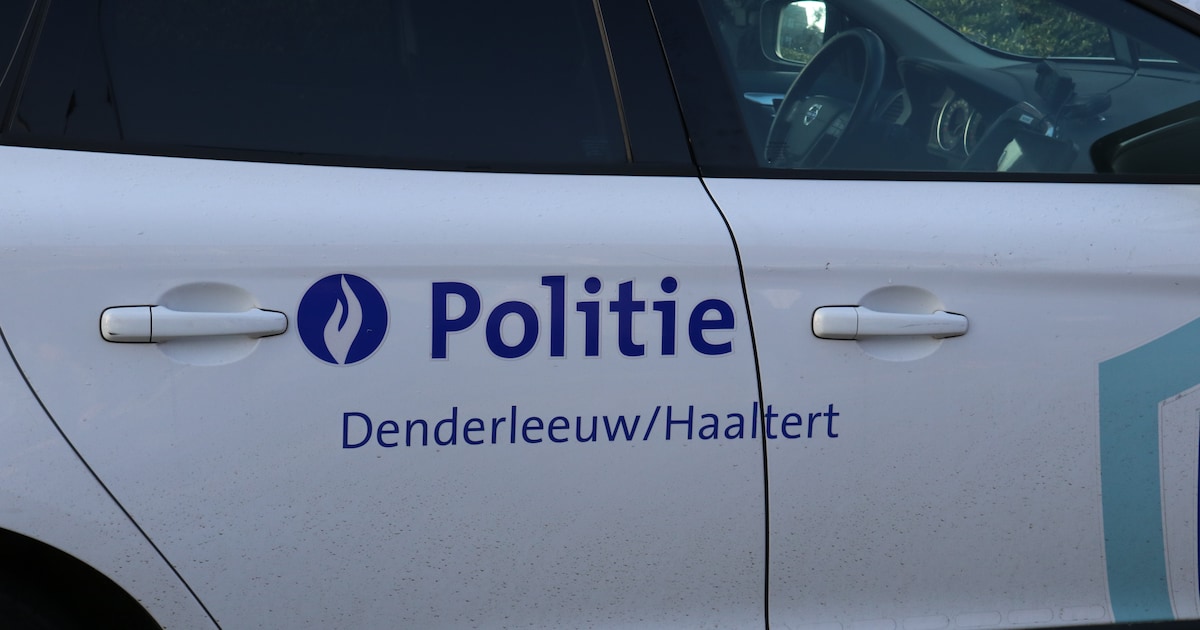 Drie verdachten trekken aan noodrem en springen uit trein na incident ...